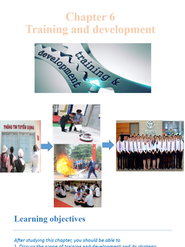 Chapter 6 Training and Development New | PDF | Educational Technology | Needs Assessment