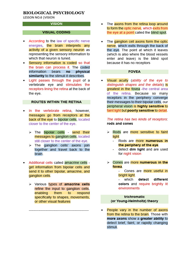 Biopsych Vision | Download Free PDF | Visual Cortex | Visual System