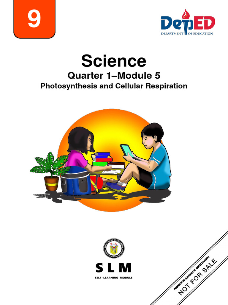 A Science 9 Q1M5 Teacher Copy Final Layout | PDF | Cellular Respiration ...