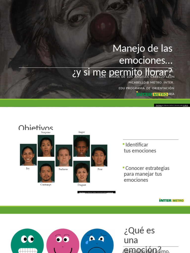 Manejo De Las Emociones Pdf Las Emociones Inteligencia Emocional