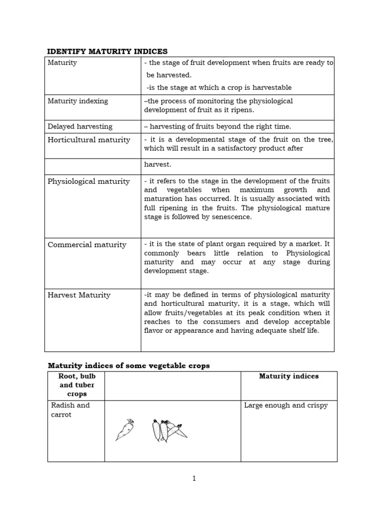 Identify Maturity Indices | PDF | Vegetables | Fruit