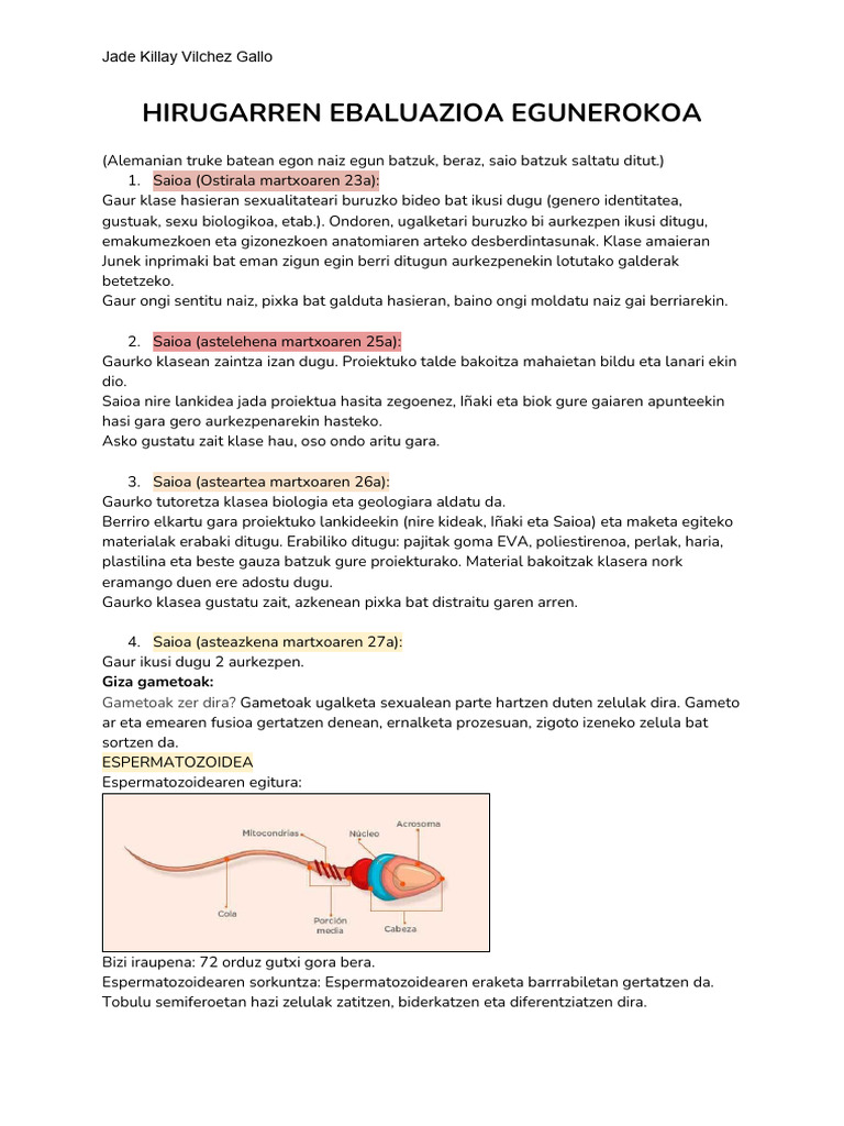 BiGe Apunteak 3. Eba. | PDF