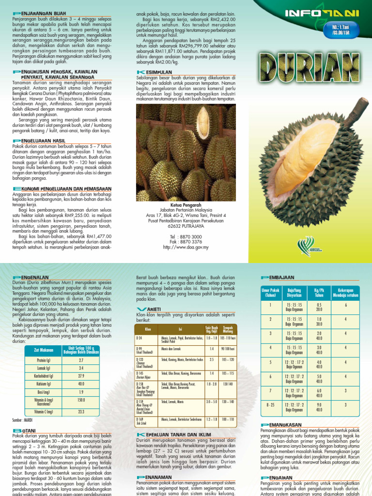 Durian | PDF