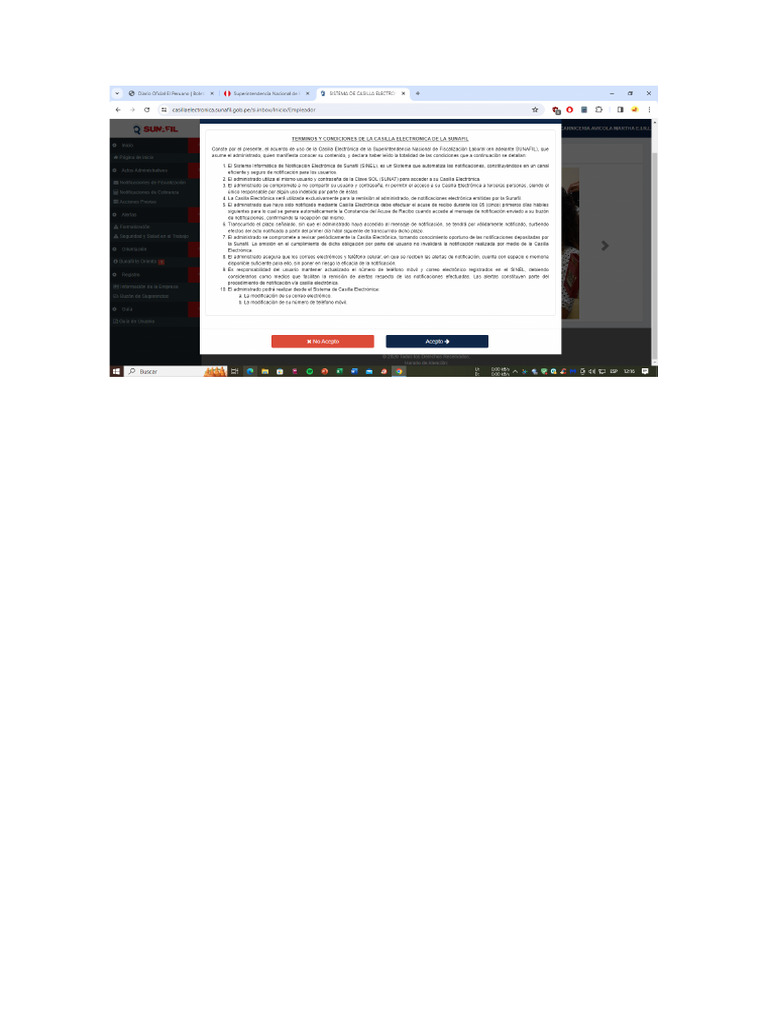 Sunafil Terminos y Condiciones Buzón Electronico | PDF