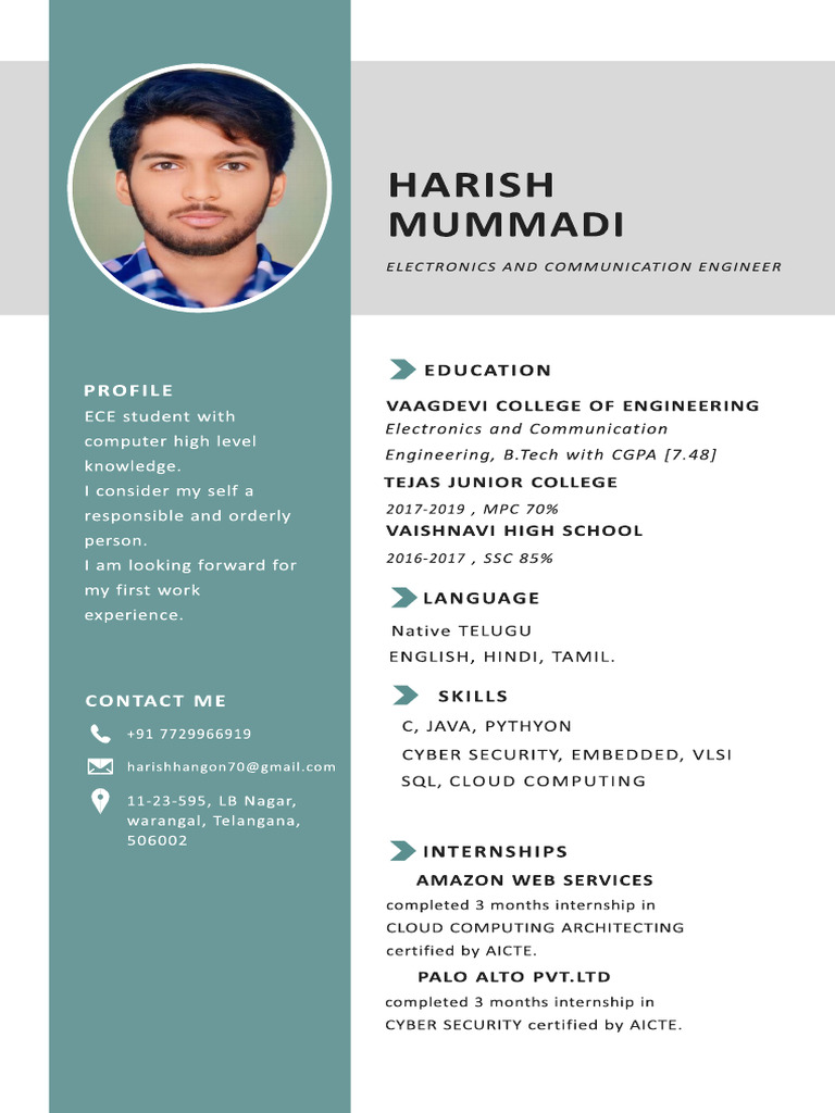 Updated Resume Harish 2023 | PDF