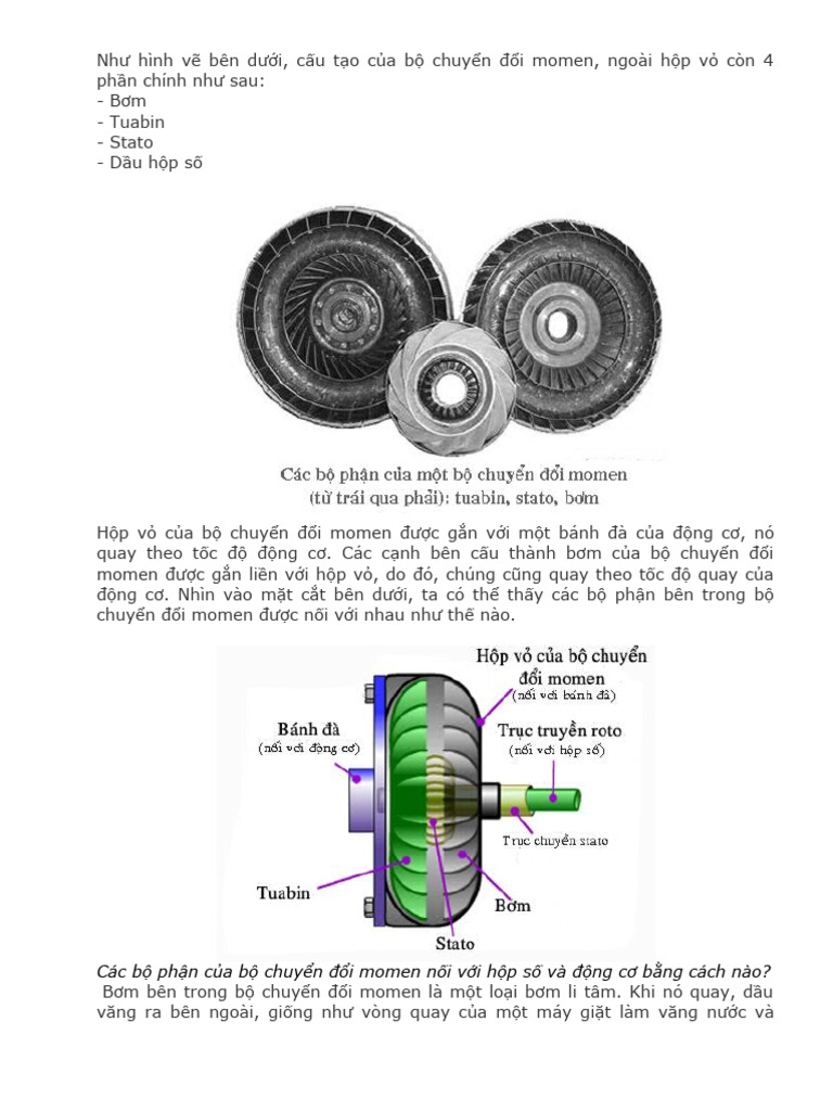 Bien Mo Thuy Luc | PDF