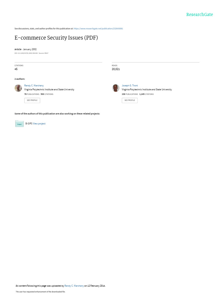E Commerce Security Issues Pdf Pdf Denial Of Service Attack Security
