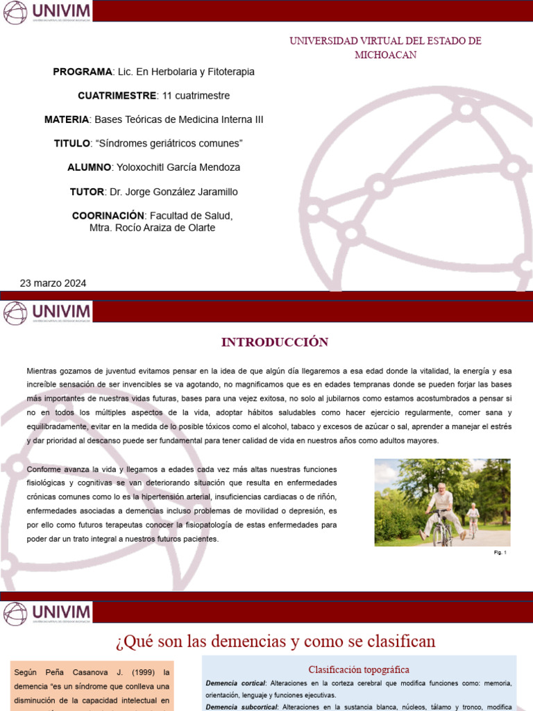 YGarcía U3 ACT2 Síndromes Geriatricos Más Comunes | PDF | Demencia | Carrera