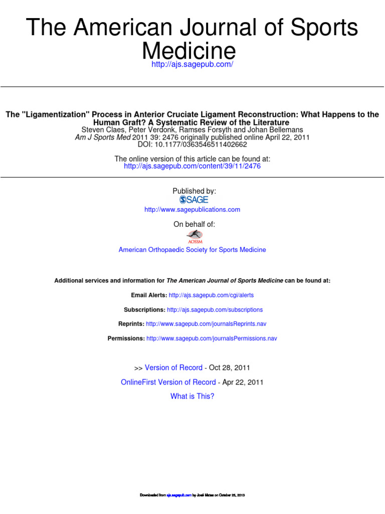 The "Ligamentization" Process in Anterior Cruciate Ligament ...
