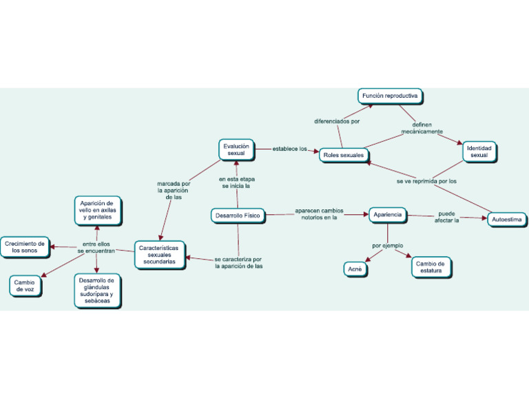 1 Cmap Desarrollo Físico Durante La Adolescencia | PDF