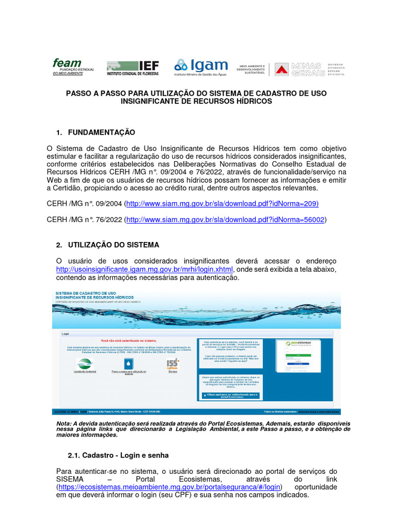 Passo A Passo Sistema de Uso Insignificante | Download grátis PDF ...