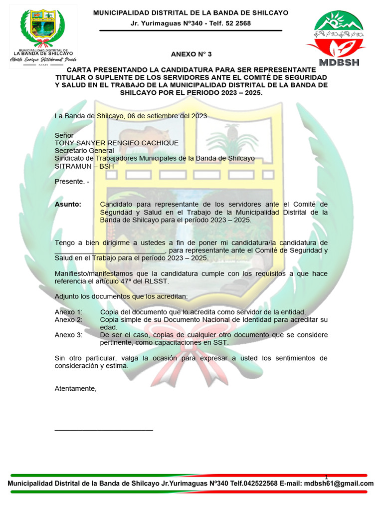 Anexo #03 - Modelo de Carta de Presentación de Candidaturas | PDF