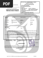 Formato Incapacidad Imss Editable Word | PDF