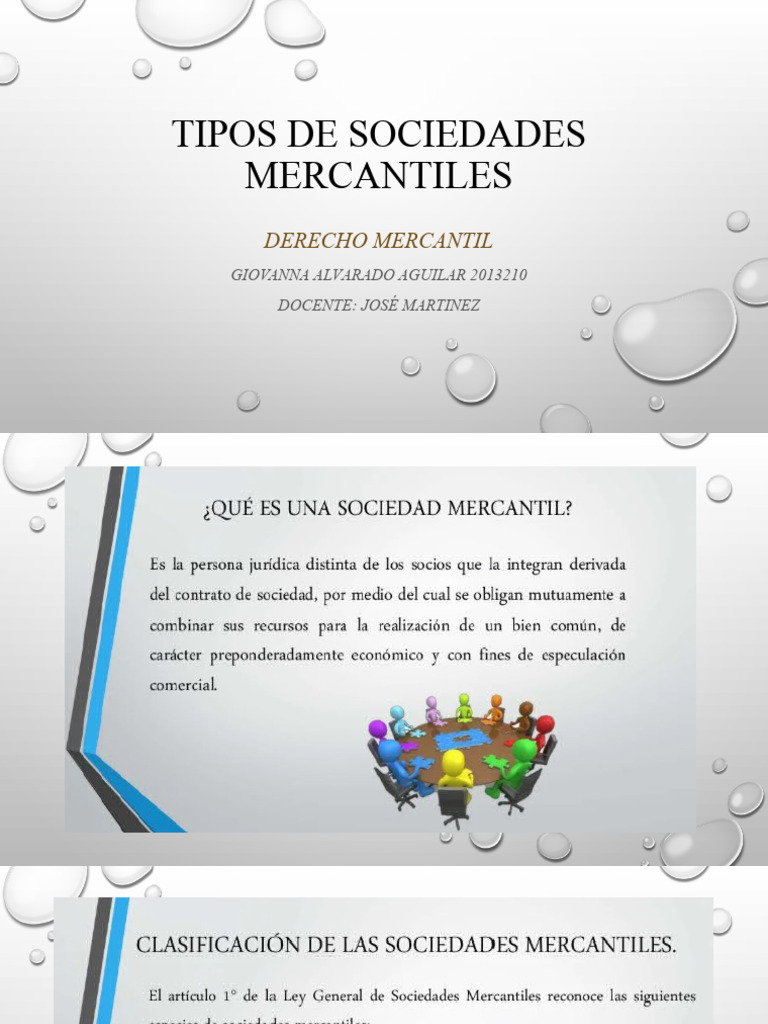 Tipos de Sociedades Mercantiles | PDF