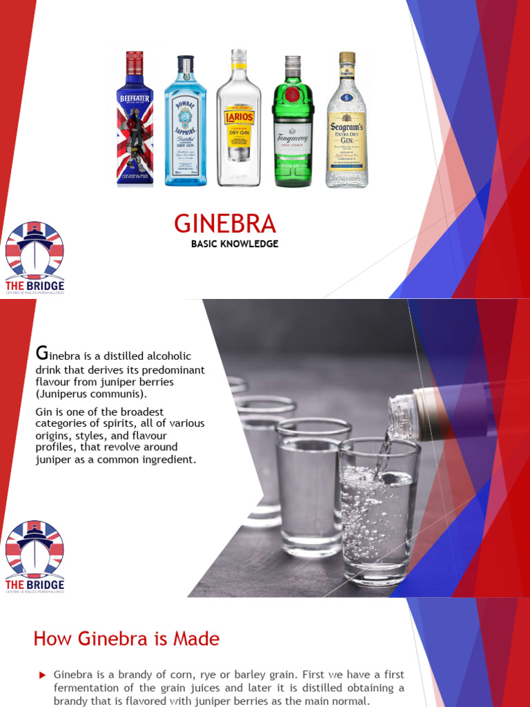 The Bridge Bar Traning - Ginebra | PDF | Wellness