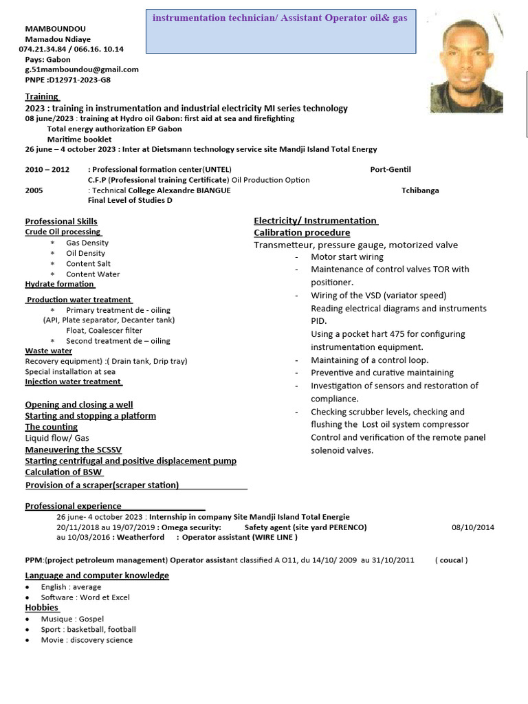 Cv 2024 English | PDF | Instrumentation | Valve