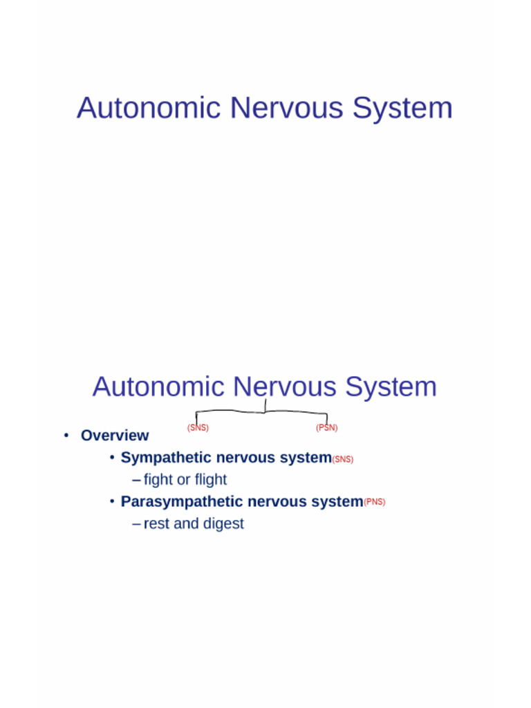 NURS 1080 YDE - Autonomic Nervous Sytem - (2023Y) NURS-1080-YA ...