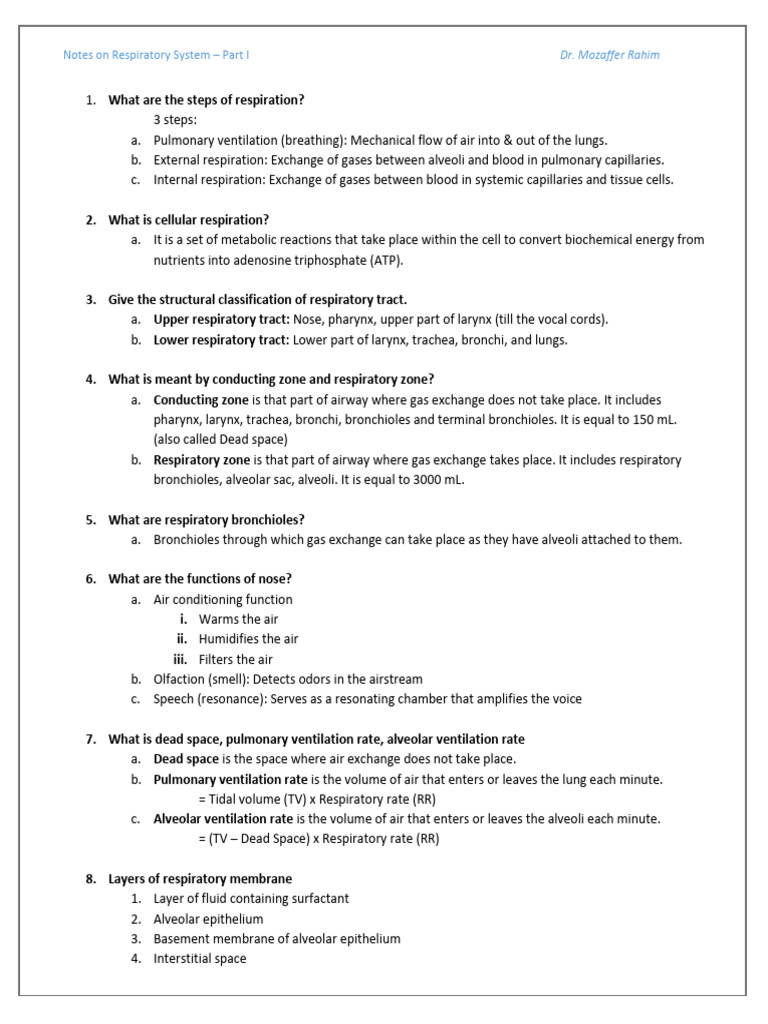 Respiration notes | PDF | Respiratory Tract | Respiratory System