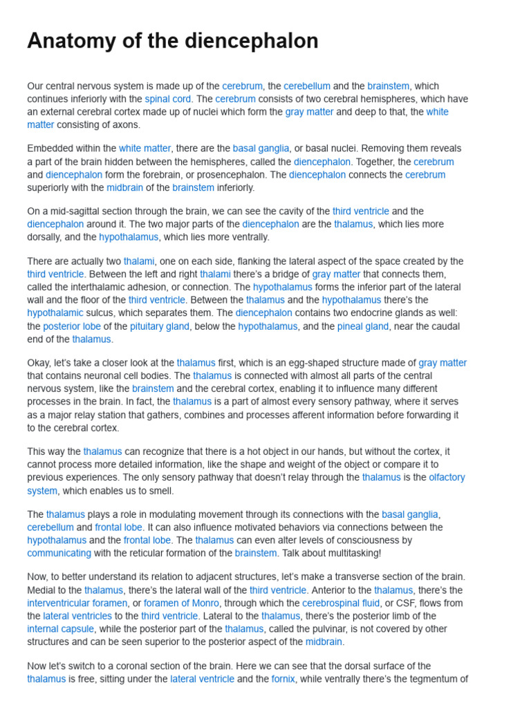 Brain Anatomy Pdf Cerebrum Cerebral Cortex