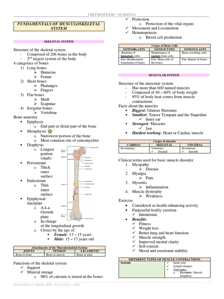 Orthopedic Disorders | PDF | Anatomical Terms Of Motion | Osteoarthritis