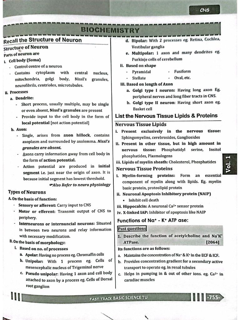 cns pharmacology | PDF