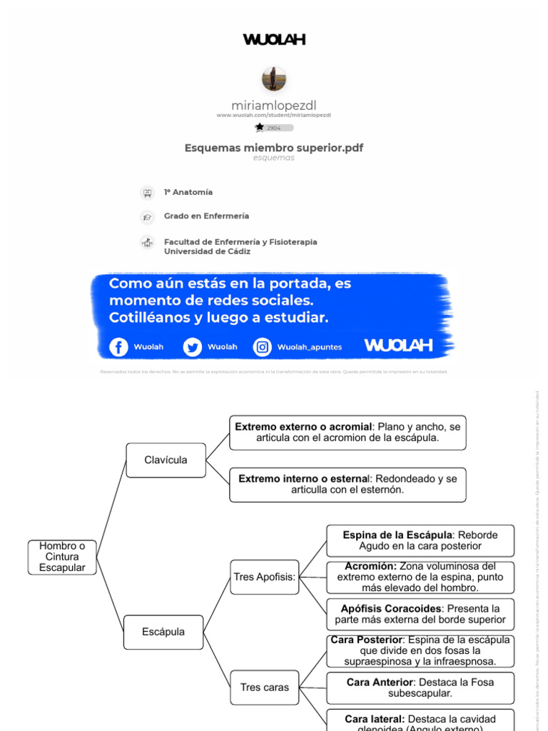 Wuolah Free Esquemas Miembro Superior | PDF | Mano | Codo