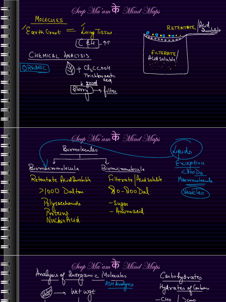 Biomolecule | PDF