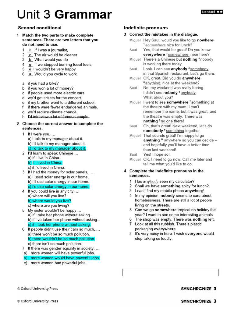 Unit 3 Standard Grammar | PDF