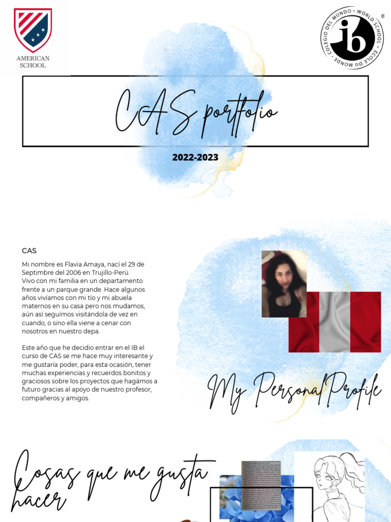 Cas Portfolio | PDF