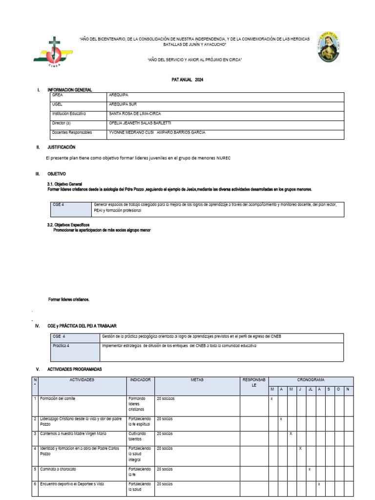 Formato de Pat 2024 Nurec | PDF