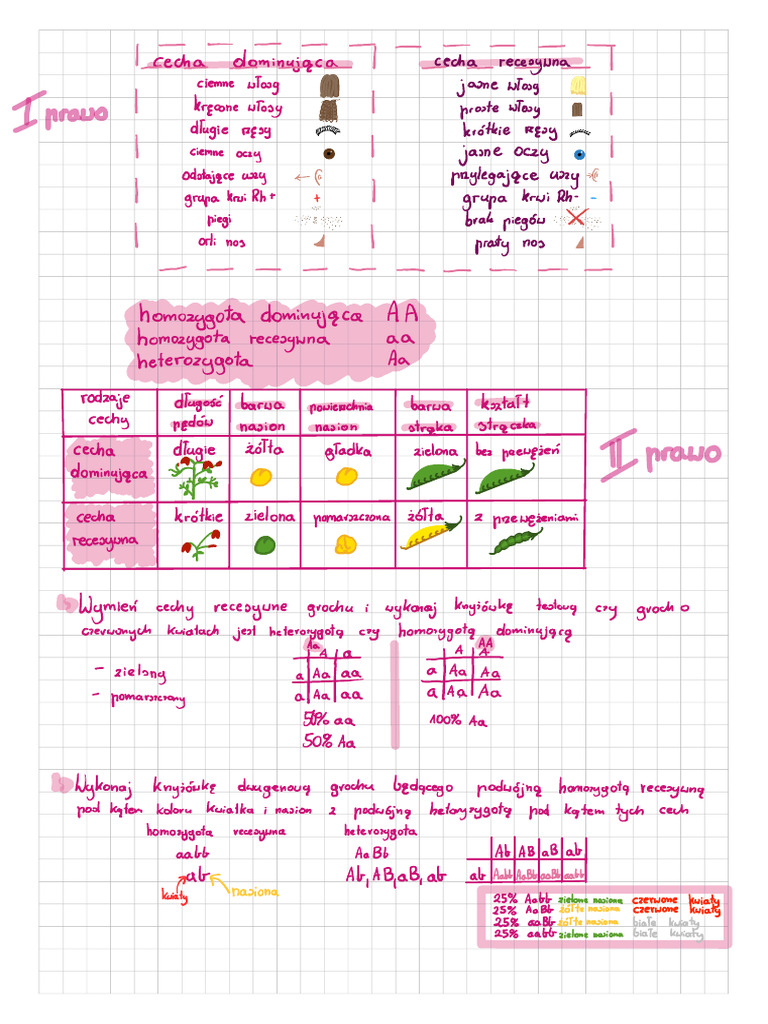1 I 2 Prawo Mendla | PDF