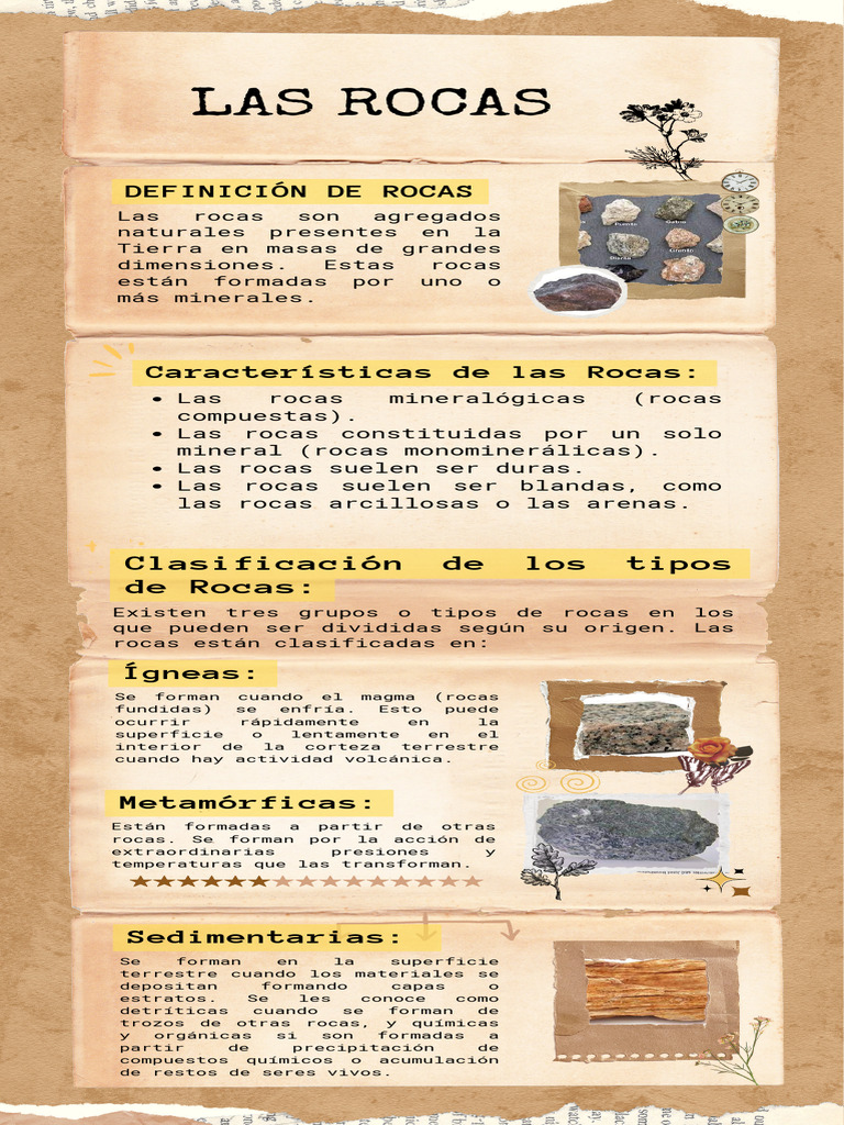 Infografía Las Rocas | PDF