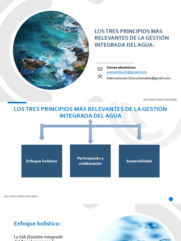 Los Tres Principios Más Relevantes de La Gestión Integrada Del Agua | PDF