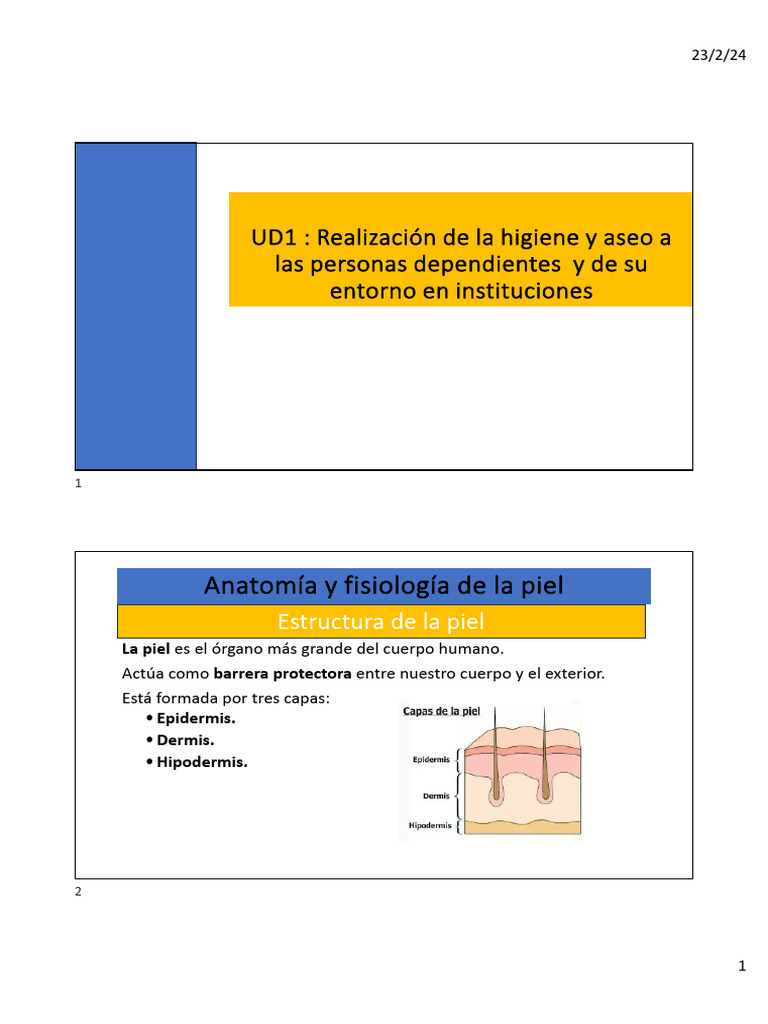 La_piel | PDF | Piel | Epidermis