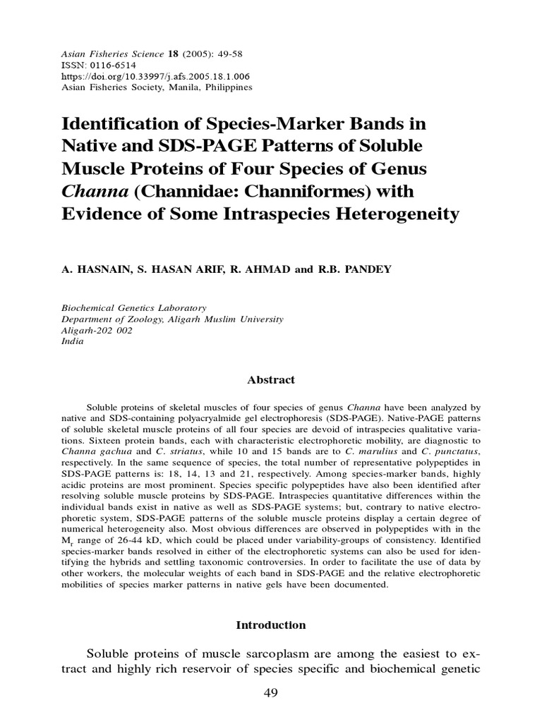 Identification of Species-Marker Bands in Native and SDS-PAGE Patterns ... Identification of Species-Marker Bands in Native and SDS-PAGE Patterns ...