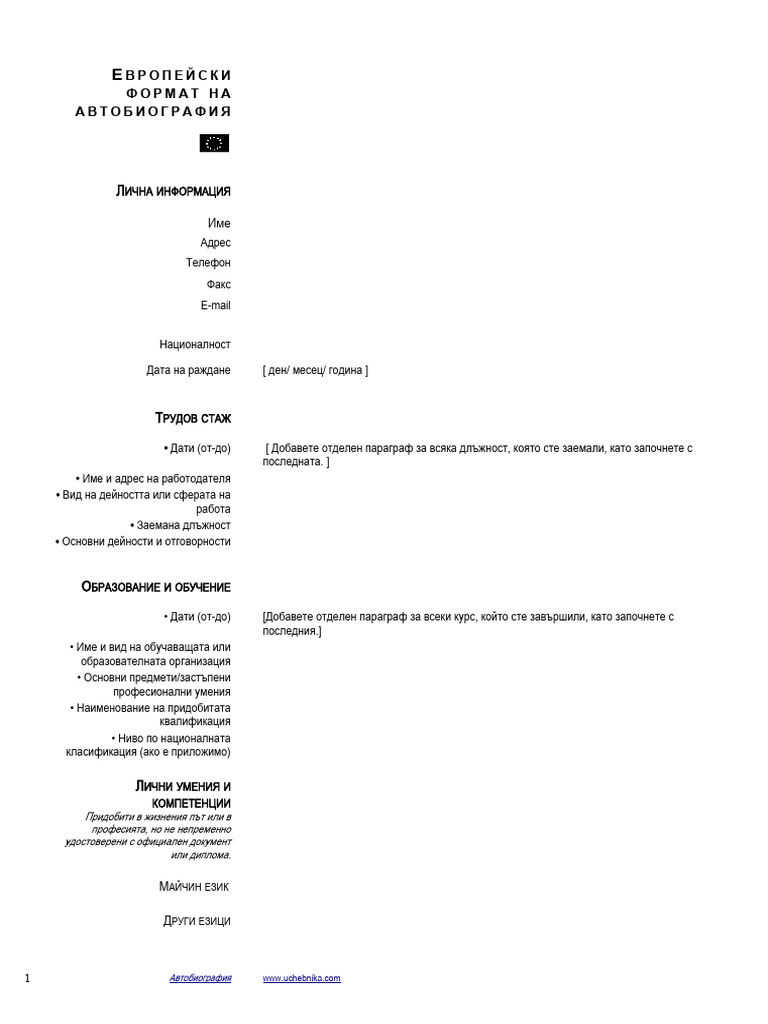 CV Format Bgeu | PDF