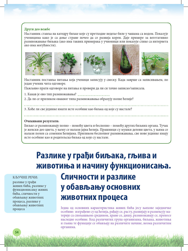 Biologija 6. Razred Surcinski | PDF