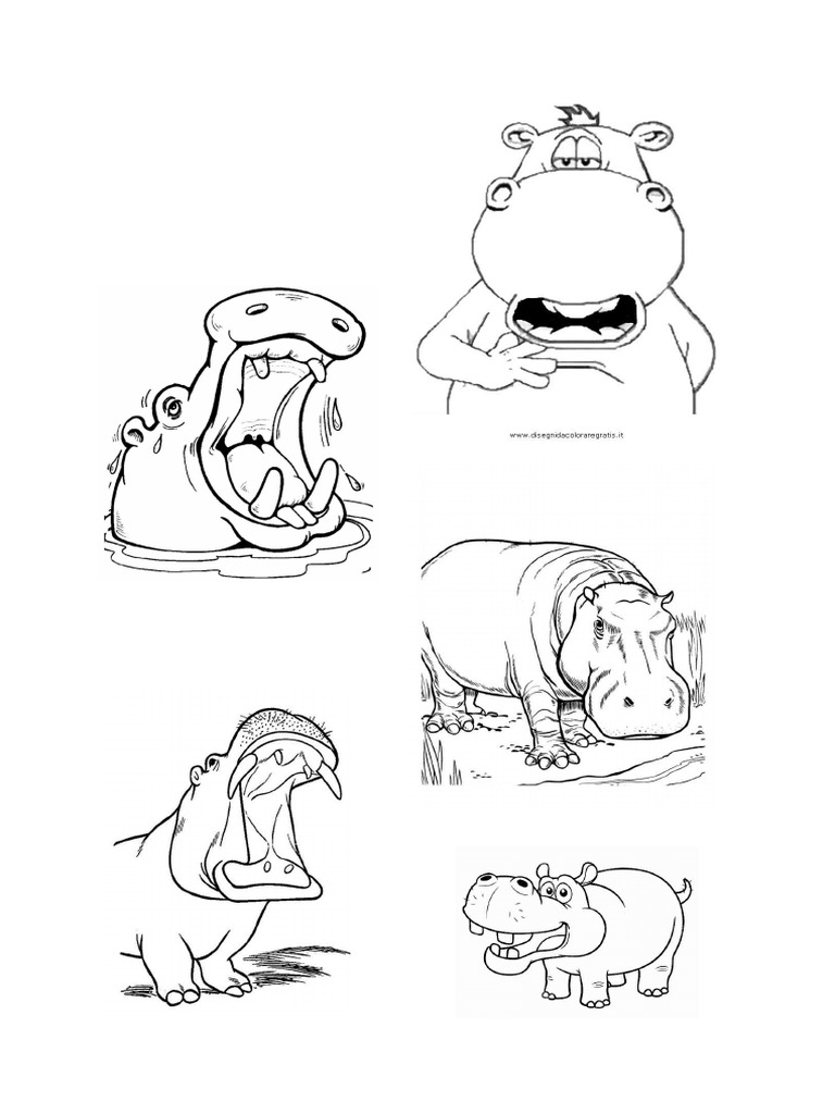 Hipopotamos | PDF