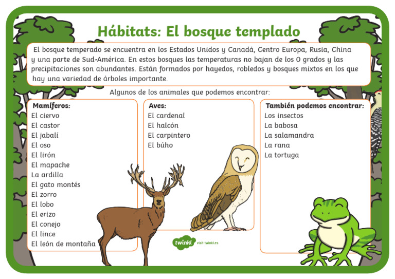 Fauna del bosque templado: animales y más | PDF | Hogar, jardinería y ...