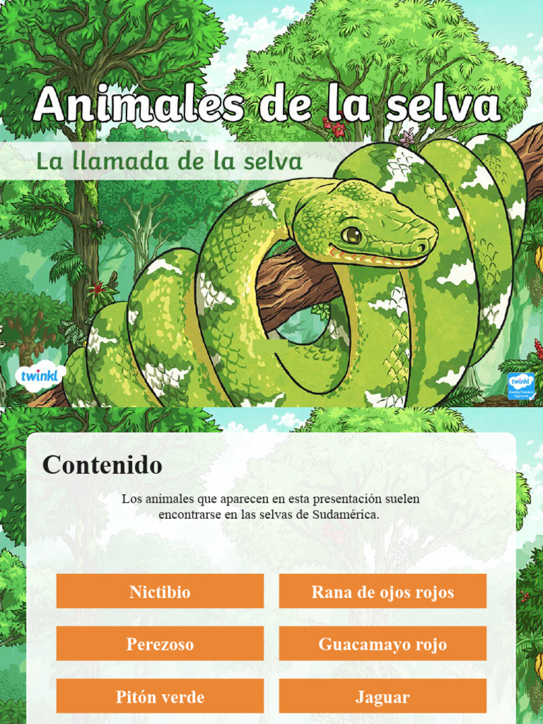 Animales de la Selva Sudamericana | PDF | Selva | Jaguar
