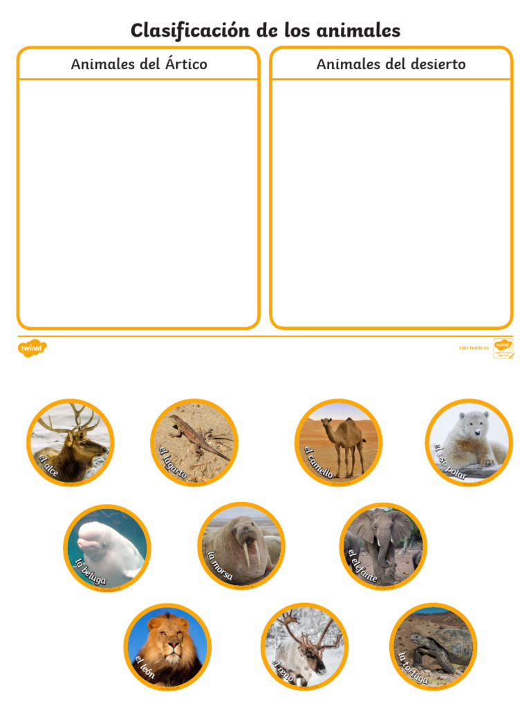 Es T T 29386b Clasificacion de Los Animales Ficha de Actividad Twinkl ...
