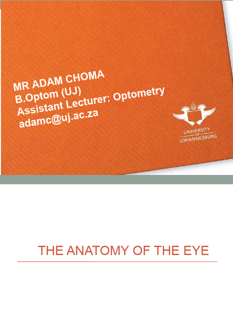 Section 1 - An Introduction to Anatomy and Function of the Eye(1) (1 ...