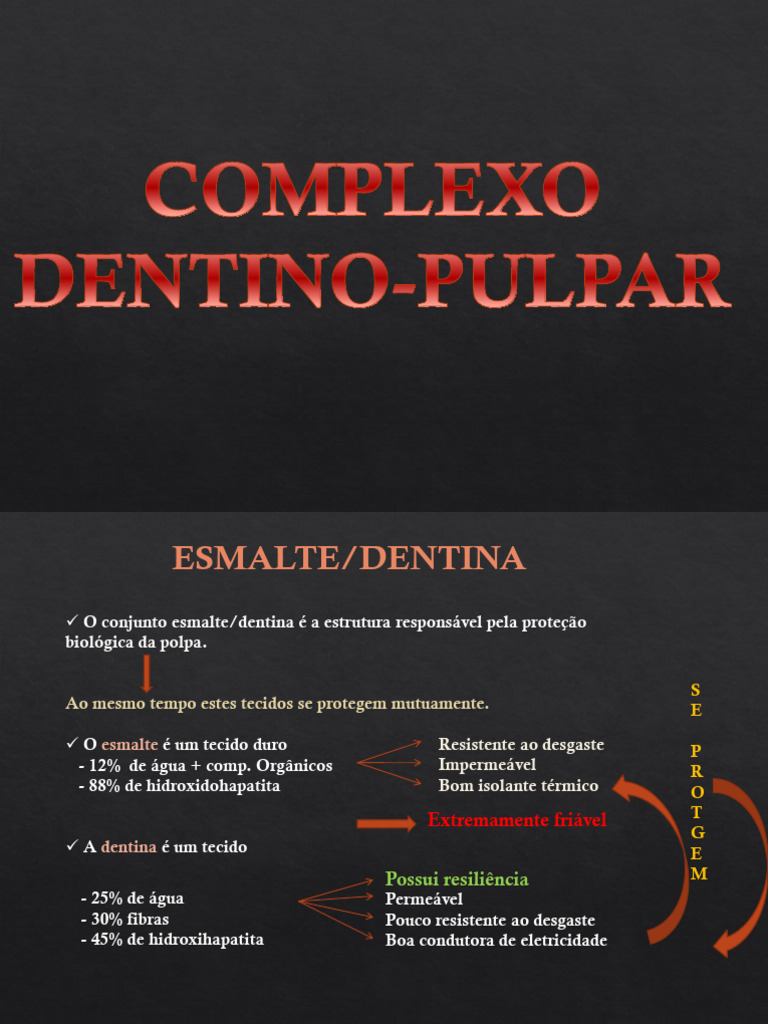 Complexo dentino pulpar (1) | PDF | Dentina