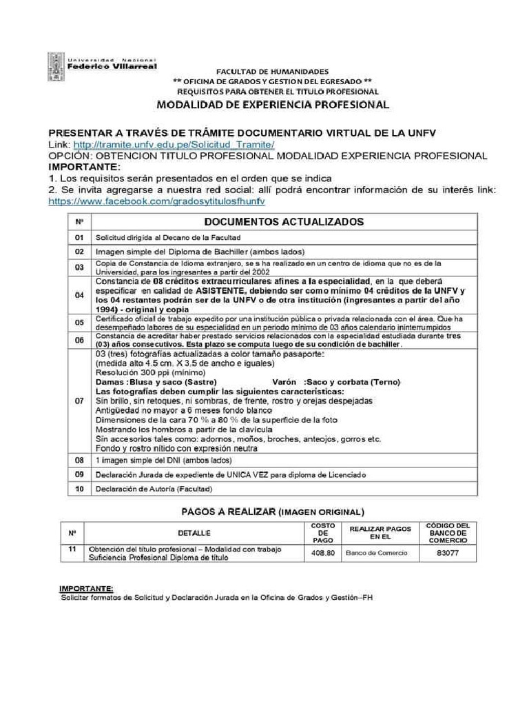 Requisitos Experiencia Profesional | PDF