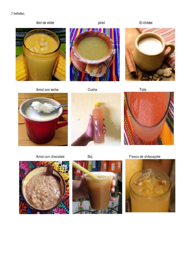 5 Bebidas Pdf