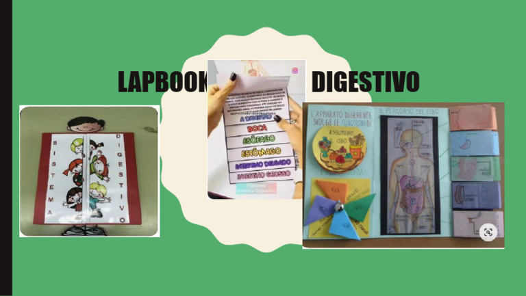 Lapbook Sistema Digestivo | PDF