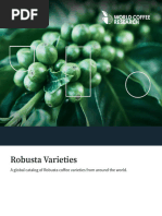 Green Coffee Defect Classification. Poster Final ENG (2018) | PDF ...