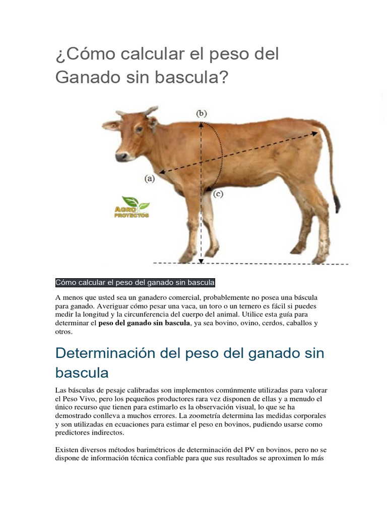Calcular Peso Sin Báscula | PDF | Vacas | Balanza