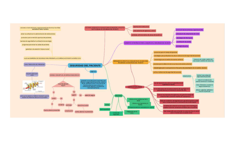 Mapa Conceptual Seguridad Del Paciente | PDF