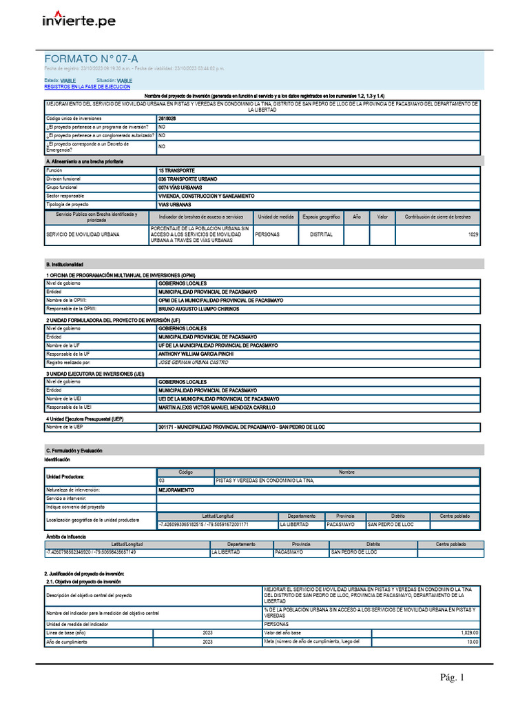 FORMATO 07 | PDF | Tasa interna de retorno | Economias